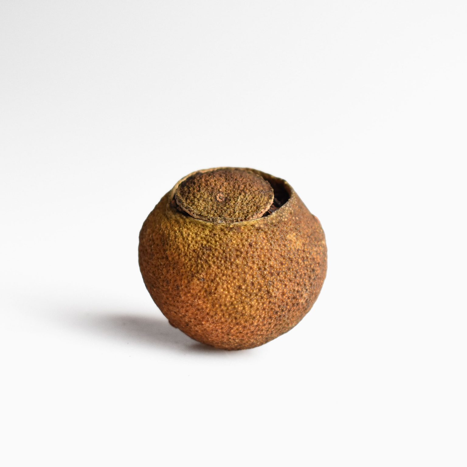 2018 Sun-Dried Xiao Qing Gan in Australia - Hey China